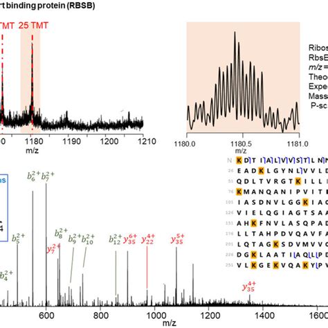 Evaluation Of Protein Solubility Under Different Tmt Labeling Download Scientific Diagram