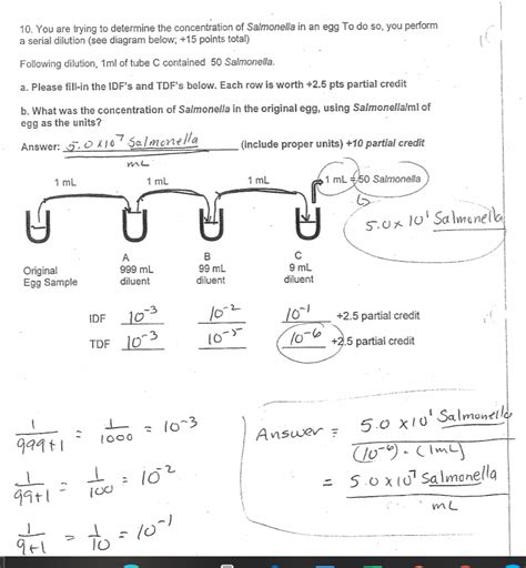 Solved 10 You Are Trying To Determine The Concentration Of Chegg Com
