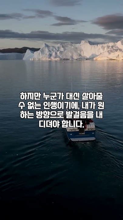 삶은 스스로 찾아가는 여행이지 누군가가 대신 만들어주는 길이 아니다 테일러 콜 Youtube