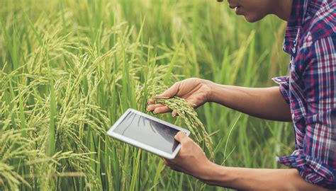 Sustainable Agriculture Is The Wave Of The Future Senzagro