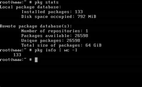 23 useful pkg command examples to manage packages in freebsd