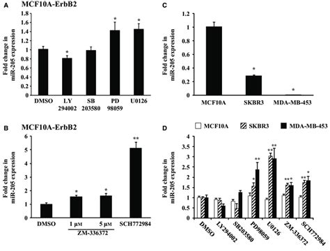 Expression Of Mir 205 In Mcf10a Erbb2 Skbr3 And Mda Mb 453 Cells