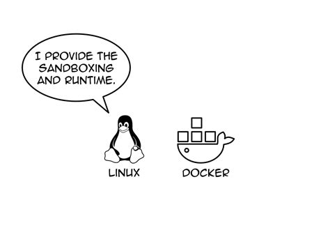 Ride The Whale Docker For Drupalists