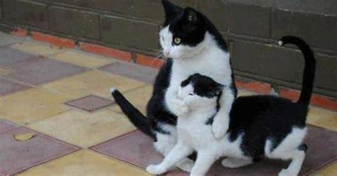 Some Things Should Never Be Seen If You See Them You Should Never Talk