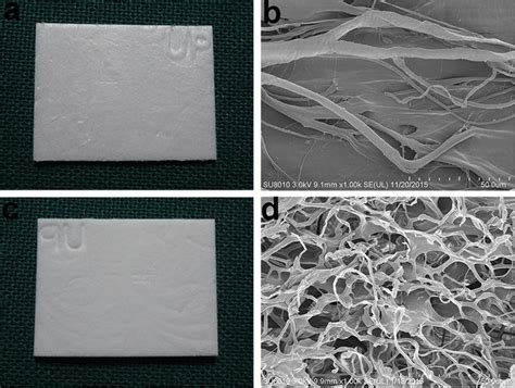 Structure Of Heal All Oral Cavity Repair Membrane The Basement