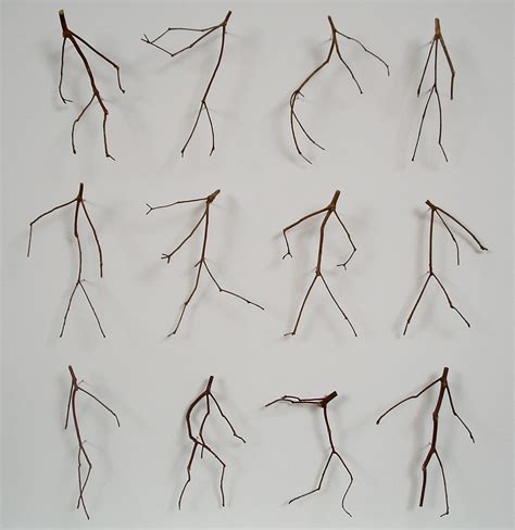 Twig
