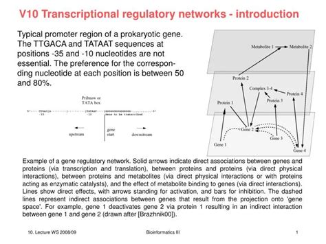 Ppt V10 Transcriptional Regulatory Networks Introduction Powerpoint
