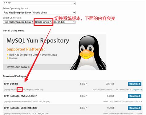 linux 安装 mysql【centos】 linux 安装mysql csdn博客