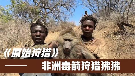 男人用食人魚當魚餌，並且用一根木制魚竿，釣到一條几十斤的巨物 Youtube