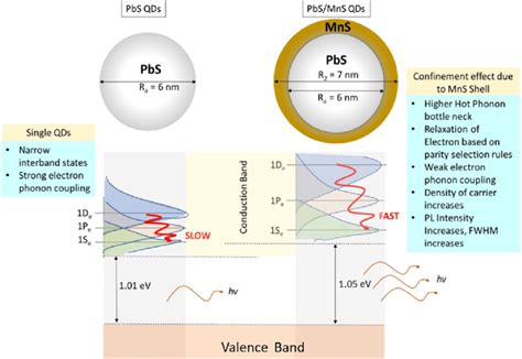 Schematic Illustration Of Electron−phonon Coupling In Pbs Qds And