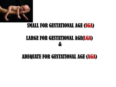 Small For Gestational Age Ppt