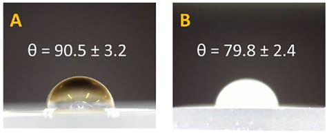 Figure 4 From Development Of 3d Printed Plgatio2 Nanocomposite Scaffolds For Bone Tissue