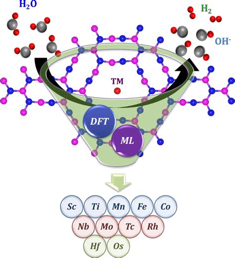 Transition Metal Anchored Novel Holey Boron Nitride Analogues As Single