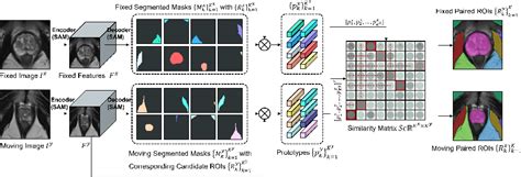 Figure 2 From One Registration Is Worth Two Segmentations Semantic