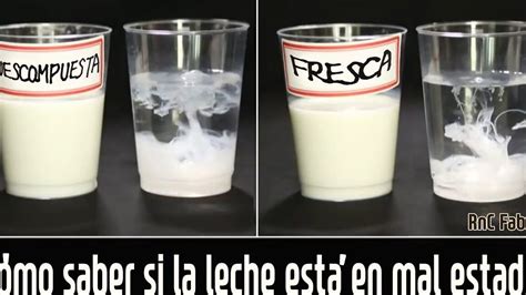 Cómo Saber Si La Leche En Polvo Está Vencida ️
