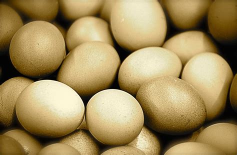 Eier Wir Brauchen Eier Helden Des Auftrittshelden Des Auftritts