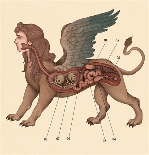 The Anatomy Of A Sphinx Behance