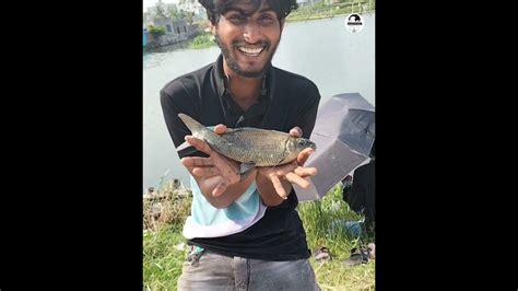 মাছ ধরতে পছন্দ করেন যারা আসুন মাছ ধরি নলা কালবাউস গইন্না মৃগেল ইলিশ