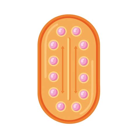 Premium Vector Birth Control Pills Pack Illustration