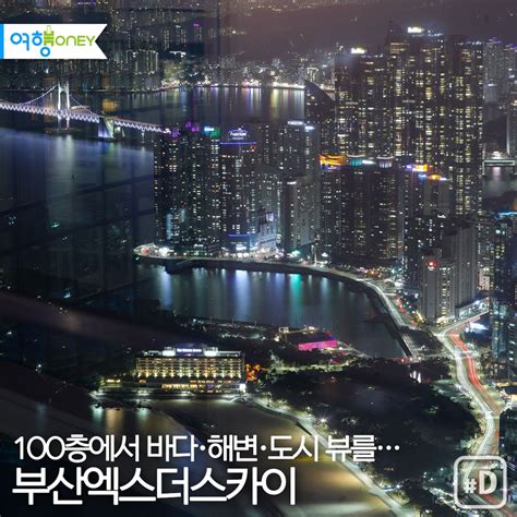 여행honey 100층에서 바다·해변·도시 뷰를부산엑스더스카이 나무뉴스