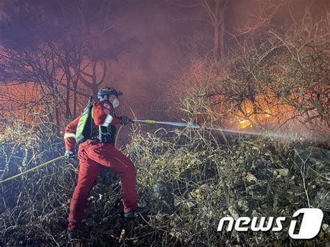 강릉 옥계 산불 동해로 확산 네이트 뉴스