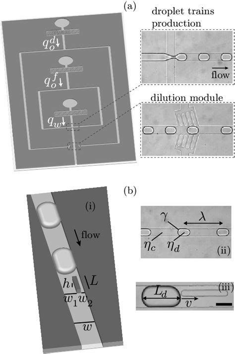 Figure 1 From Passive Breakups Of Isolated Drops And One Dimensional