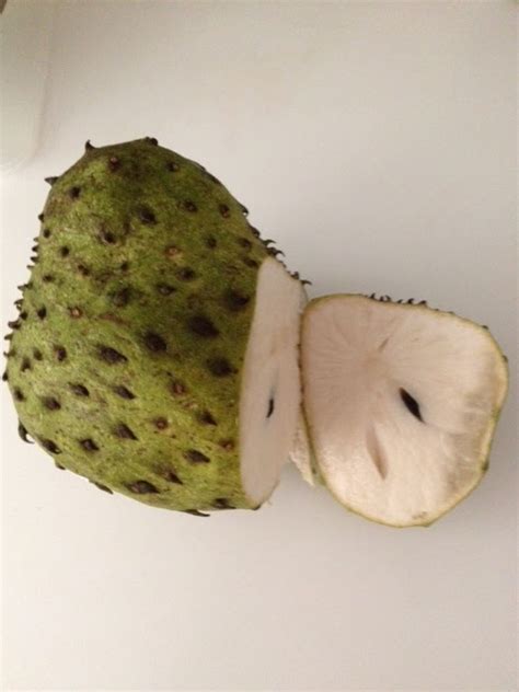 We Were All Made Beautifully Soursop For Anti Cancer