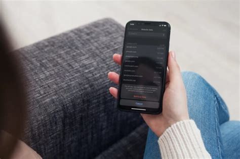 How To Clear Cookies Only From Safari On IPhone IPad