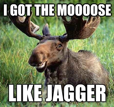 Pin On Funny