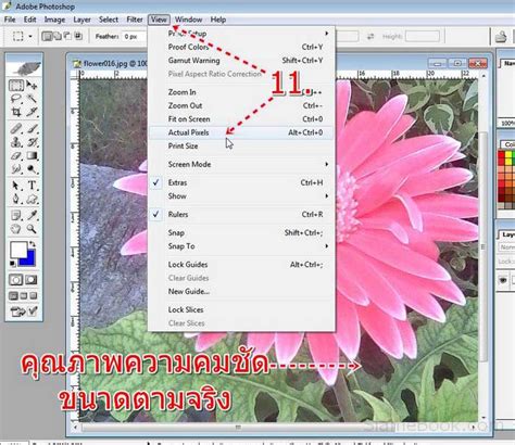 ย่อขนาดภาพหรือขยายขนาดภาพใน Photoshop Cs3