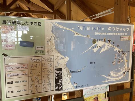 2階ネイチャーフロア 野付半島ネイチャーセンター