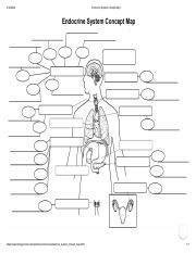 Endocrine System Concept Map Pdf Endocrine System Concept Map Endocrine System