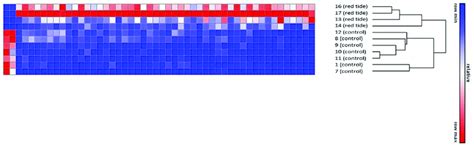 Heat Map And Dendrogram Of Individual Gene Expression Data Obtained By