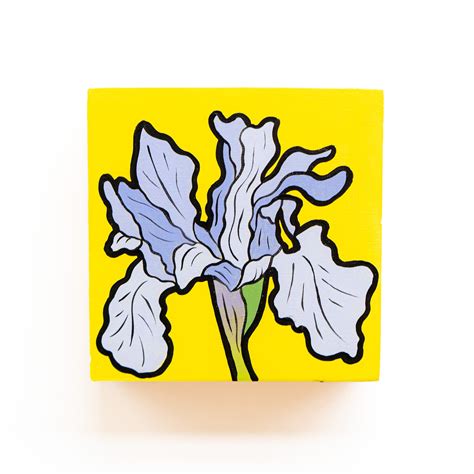 Iris 25 Helm Gallery