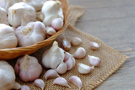 11 Signs You Have A Stomach Ulcer And Natural Remedies