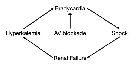 Brash Etymology At Anthony Pippen Blog