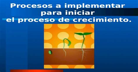 Procesos A Implementar Para Iniciar El Proceso De Crecimiento Ppt