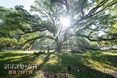 《沼泽深处的女孩》曝“约会陷阱”片段 女主卡娅落入感情圈套 Tom明星