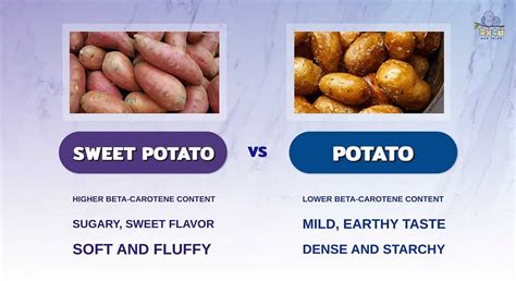 Sweet Potato Vs Regular Potato Which Is Healthier And 3 Key Differences