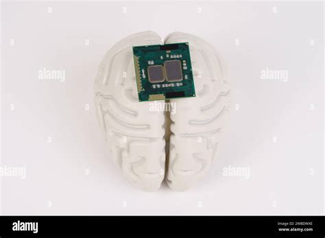Human Brain And Computer Chip Microprocessor In The Head On A White
