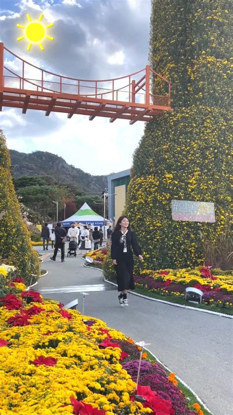 2022 월출산 국화축제 11월 13일까지입니다 이벤트도 참여하고 구경오셔서 국향에 취해보세요 당신의 에너지 영암 영암