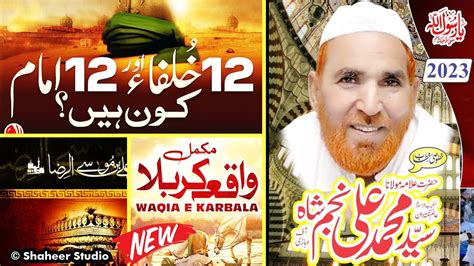 Najam Shah New Bayan 2023 Najam Shah Waqia Karbala Imam Ali Ibn