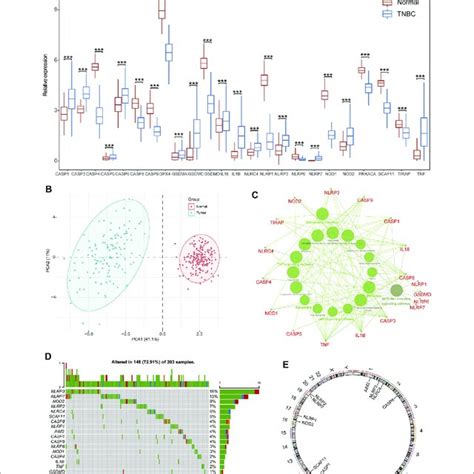 Characteristics Of Pyroptosis Related Signatures In Patients With