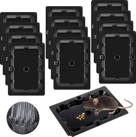 Amazon Qualirey 12 Pack Mouse And Insect Glue Traps Strong