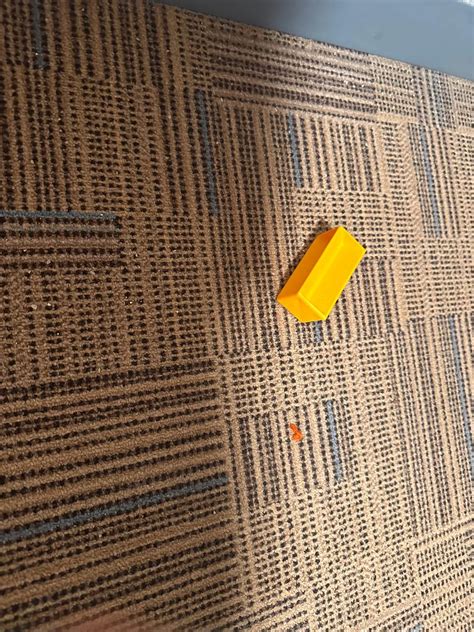 Analyzing Genomic Data — Part 2 Introduction To Biostrings By Serra Aksoy Serurays Medium