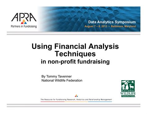 Using Financial Analysis Techniques For Non Profit Fundraising Pdf