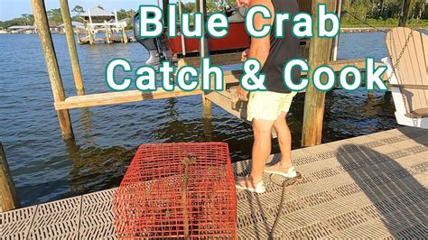 Blue Crab Catch And Cook Youtube