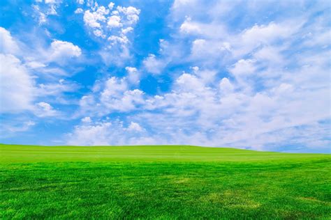 Download Nature Landscape Grass And Sky Background