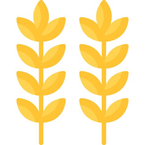 Eggplant Allergy Symptoms Diagnosis And Treatment