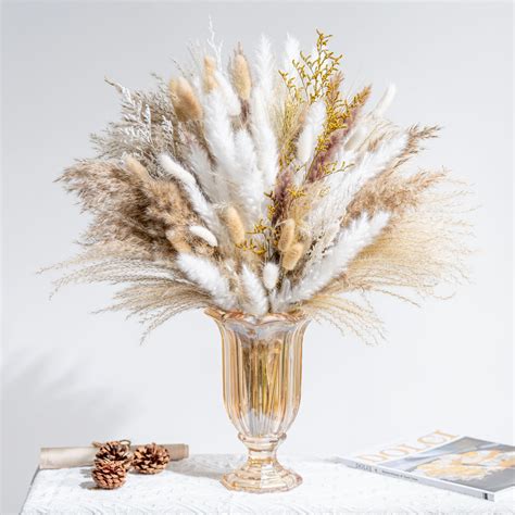 Natural Dried Pampas Grass Decor Hicream 101 Pcs Pampas Grass Bunny Tails Dried Flowers Reed